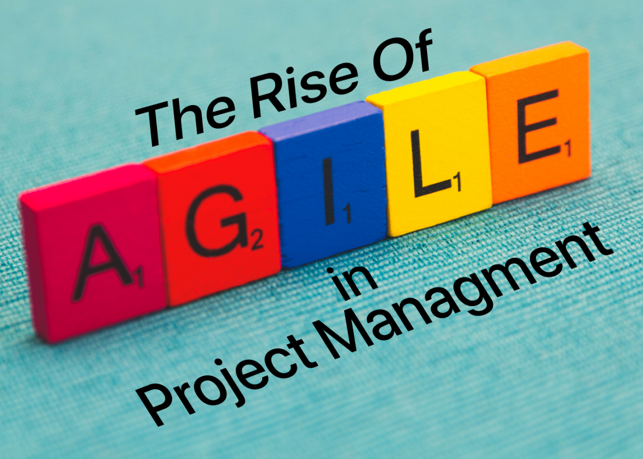 The Rise Of Agile In Project Management | Sapience Consulting