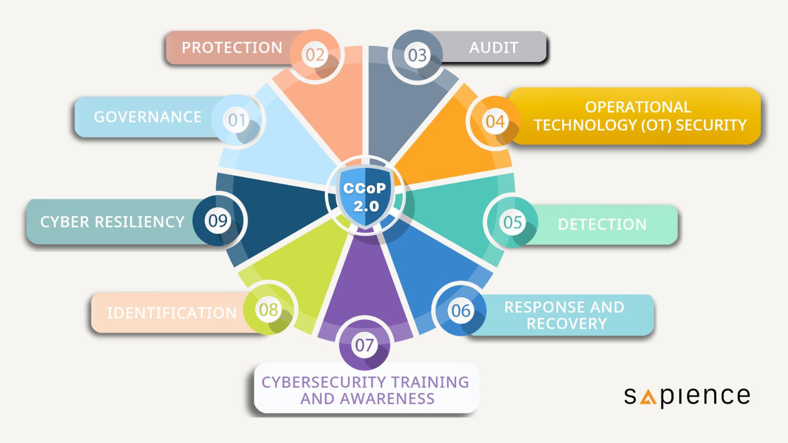 Demystifying the Code- Know your CCoP | Sapience Consulting